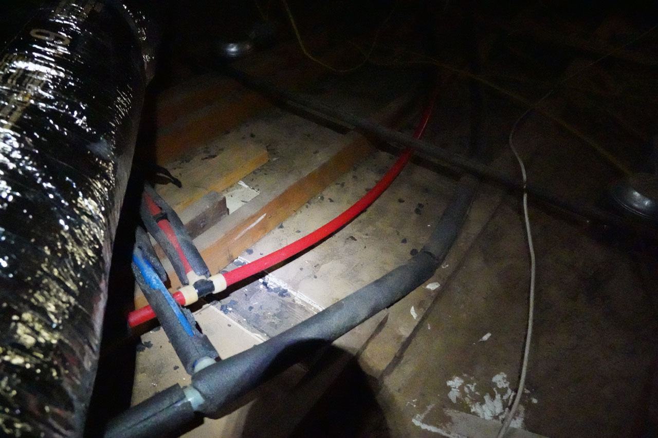 How To Get Rid Of Rats In The Attic & Keep Them Out!