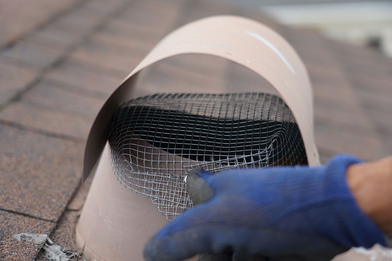 How To Get Rid Of Rats In The Attic & Keep Them Out!